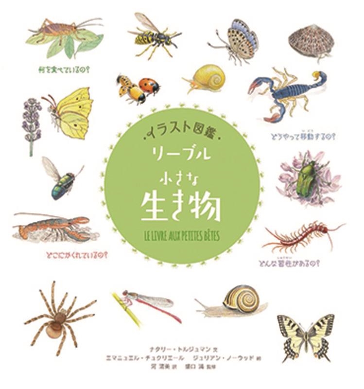ナタリー・トルジュマン/リーブル「小さな生き物」 イラスト図鑑