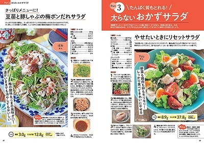 レシピブログ おいしくて太らないごはんBEST100 TJ MOOK