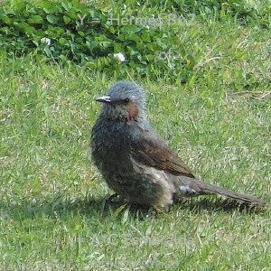 'slown Mason/KALINE20EDYRK23 Y= Hermes B^2 of =A*C Esmeralda