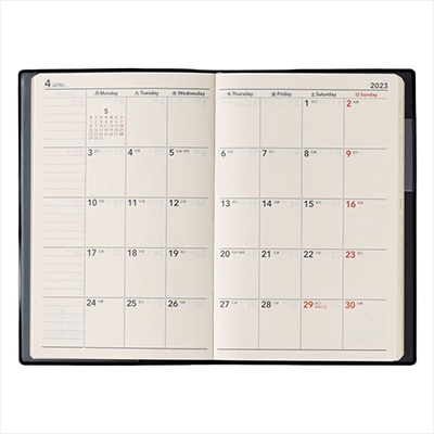 1241 NOLTY ライツ2(黒)