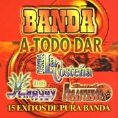 Banda A Todo Dar: 15 Exitos De Pura Banda