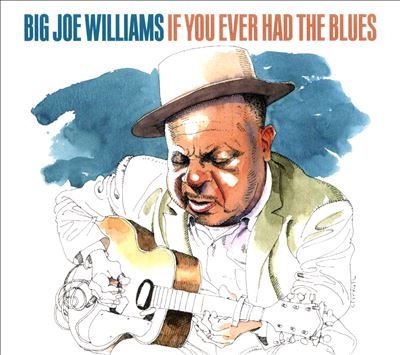 If You Ever Had The Blues/Big Joe Williams