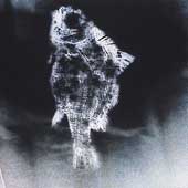 The River 1 2 3 4/Scott Tuma